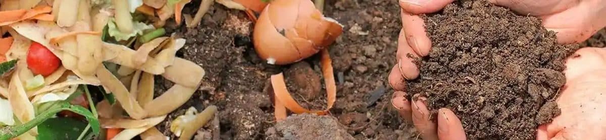 What Is Organic Fertilizer? Types, Benefits & Guide | Rutom Bio.